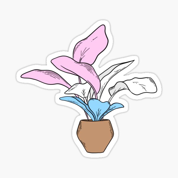 "subtle trans flag plant" Sticker for Sale by atlasbackache | Redbubble