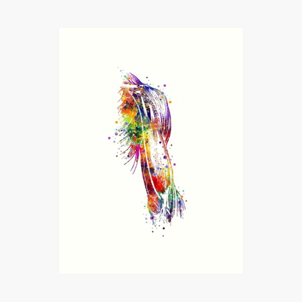"Arm Muscles Watercolor Anatomy" Art Print for Sale by LotusGifts ...