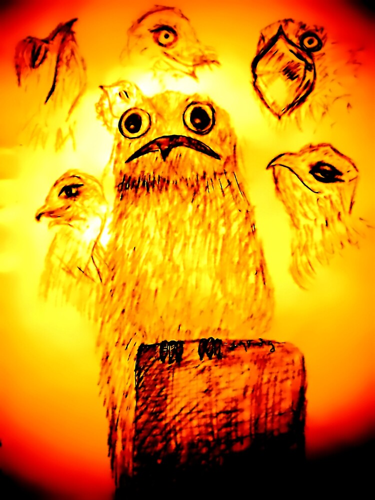 "The many moods of the great and powerful potoo in dramatic lighting ...