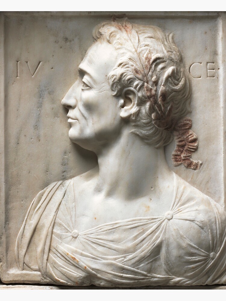 "Julius Caesar" Sticker for Sale by Trieste02 | Redbubble