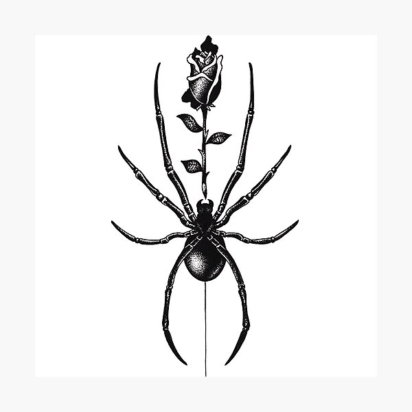 "Black Spider and Rose Tattoo" Photographic Print for Sale by Cesarcali ...