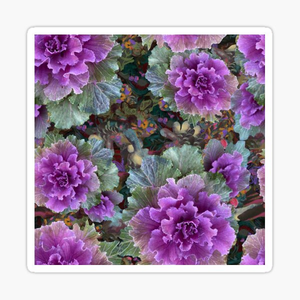 "ORNAMENTAL CABBAGE" Sticker for Sale by ABEBERMANCHUTE | Redbubble