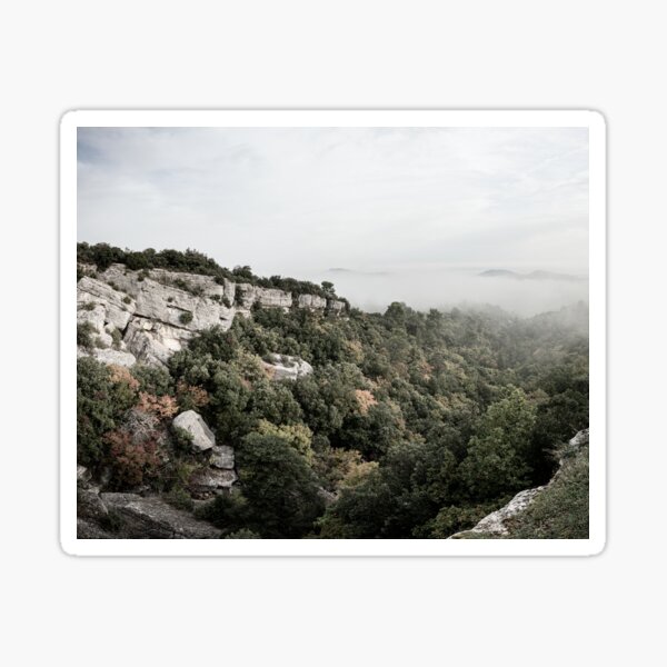 "Provence forest under the mist" Sticker for Sale by DavidGabisPhoto ...