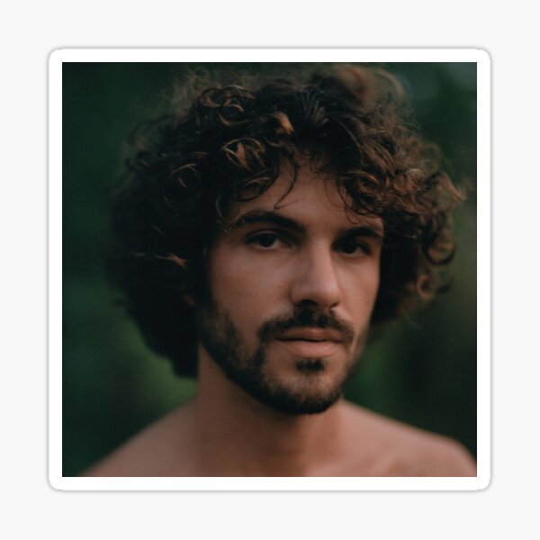 "fkj French Kiwi Juice " Sticker for Sale by ReganPacocha | Redbubble