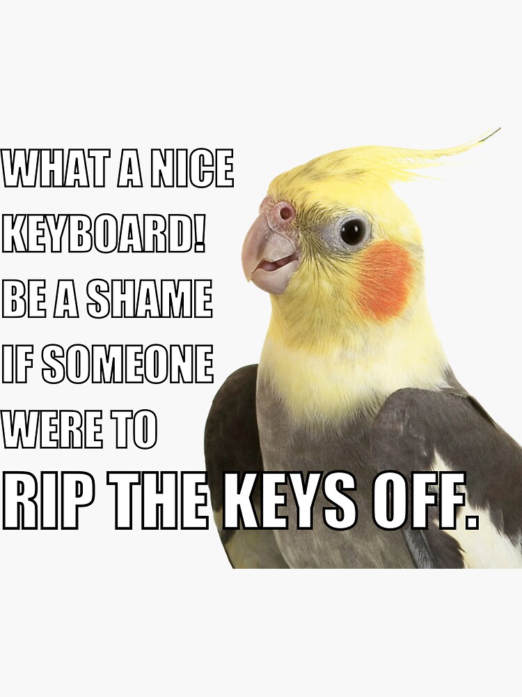 "What a nice keyboard parrot meme" Sticker for Sale by dontdoellisd ...