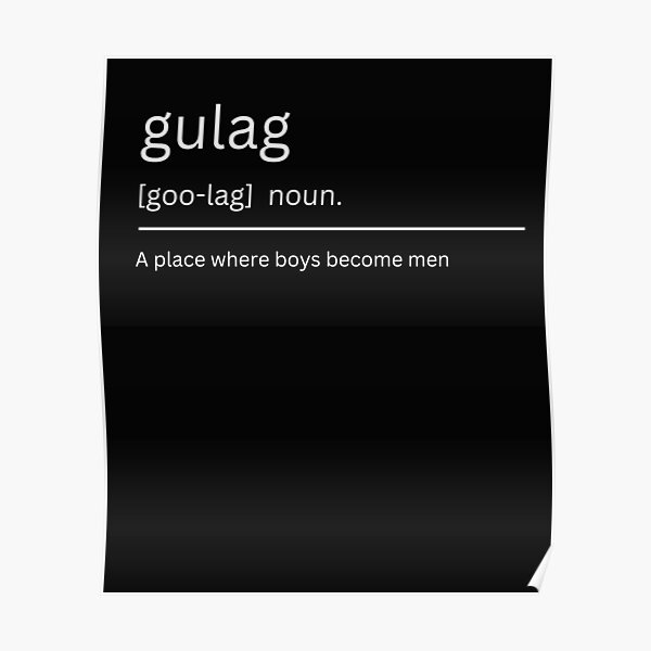 "Funny Gulag Gaming quote/Designs meme" Poster for Sale by Gamicnum ...