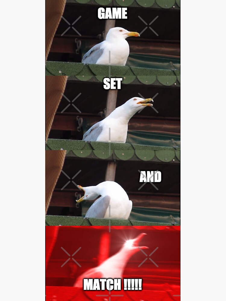 "Tennis Memes - Game Set and Match Meme" Sticker for Sale by TieBreak ...