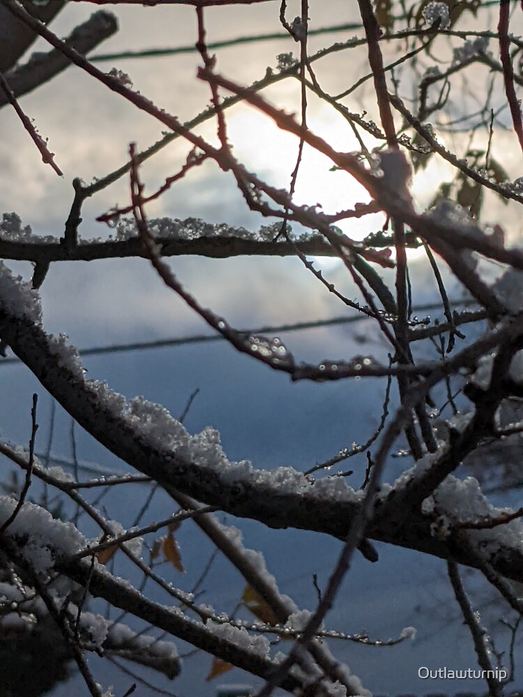 "Icy Morning 2" Sticker for Sale by Outlawturnip | Redbubble
