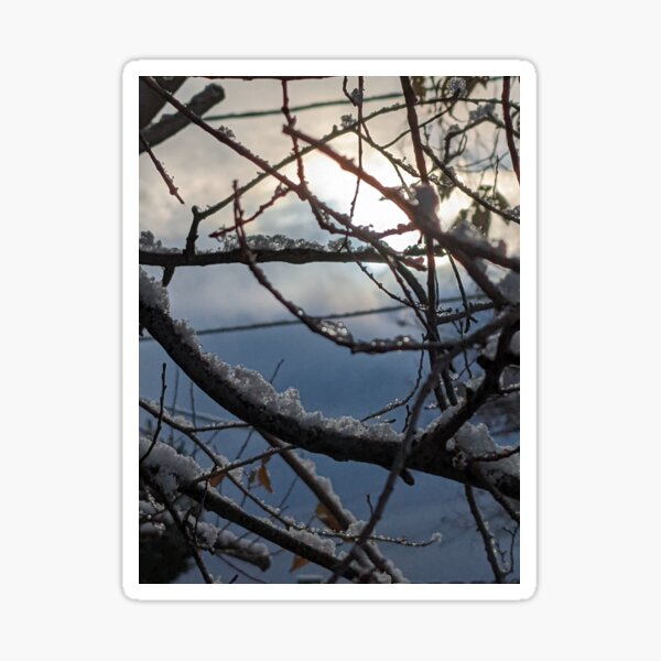 "Icy Morning 2" Sticker for Sale by Outlawturnip | Redbubble