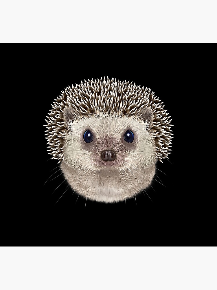 "Cute Hedgehog Face" Poster for Sale by BHK77 | Redbubble