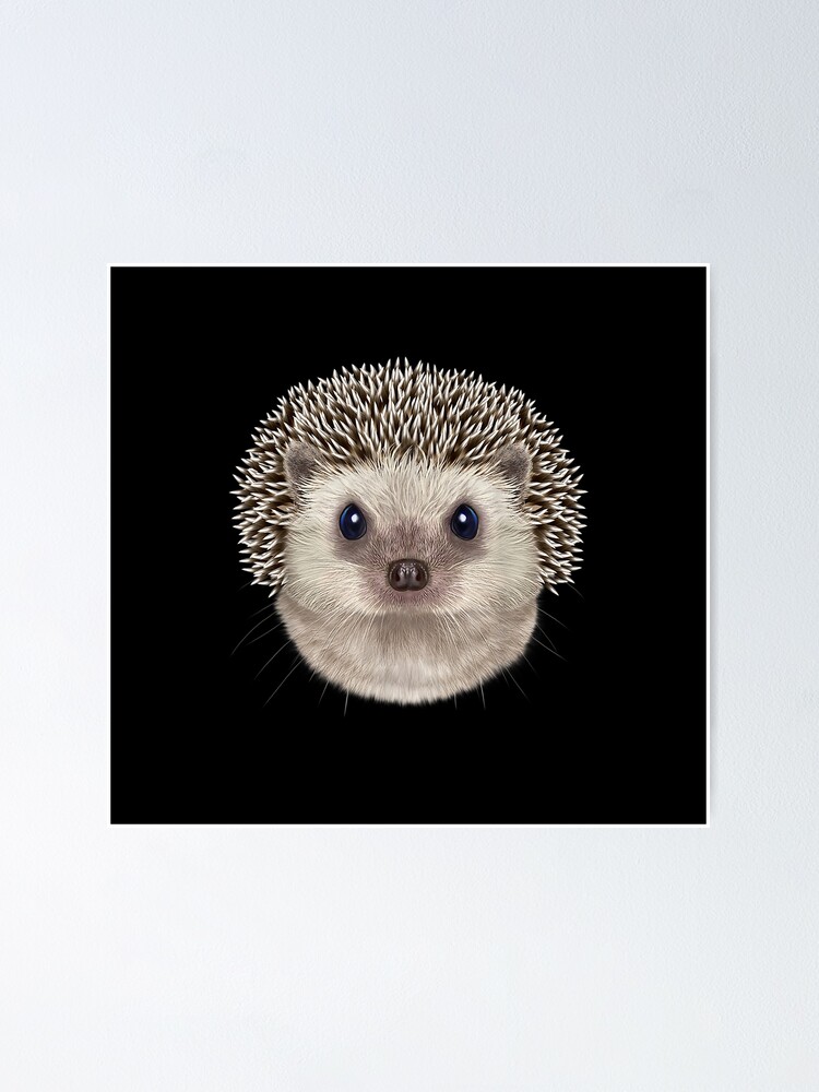 "Cute Hedgehog Face" Poster for Sale by BHK77 | Redbubble