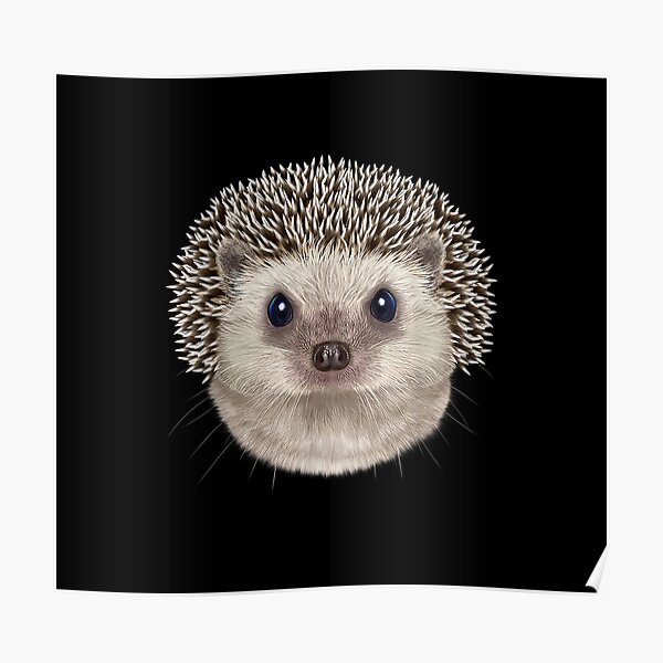 "Cute Hedgehog Face" Poster for Sale by BHK77 | Redbubble