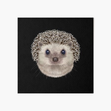 "Cute Hedgehog Face" Art Board Print for Sale by BHK77 | Redbubble