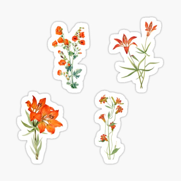 "Orange Flowers Collection Sticker Pack" Sticker for Sale by ...