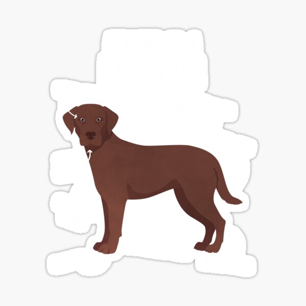 "Chocolate Labrador Retriever Dog Anatomy" Sticker for Sale by Psitta ...
