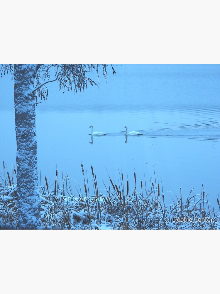 "Pair of Wintry Trumpeter Swans at Blue Hour" Sticker for Sale by ...