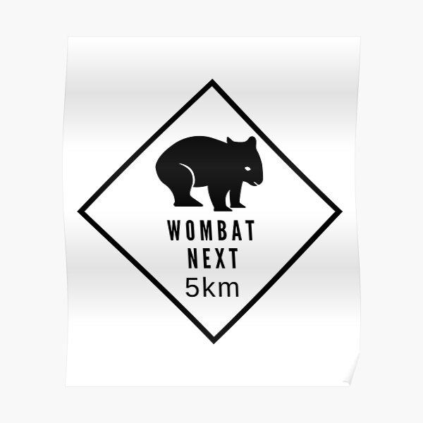 "The wombat" Poster for Sale by ChachiArts | Redbubble