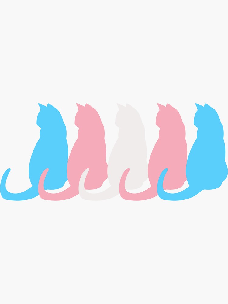 "Trans Pride Cats" Sticker for Sale by AlluresDelights | Redbubble