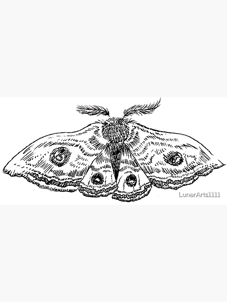 "goth moth! - original, hand inked" Sticker for Sale by LunarArts1111 ...