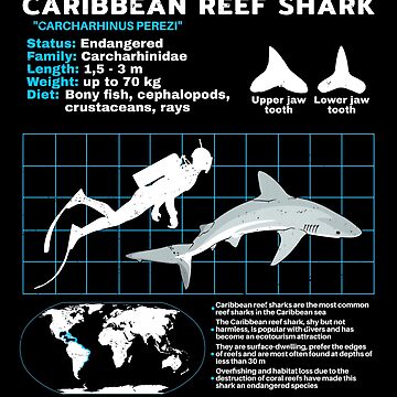 "Caribbean reef shark data sheet" Poster by NicGrayGraphic | Redbubble