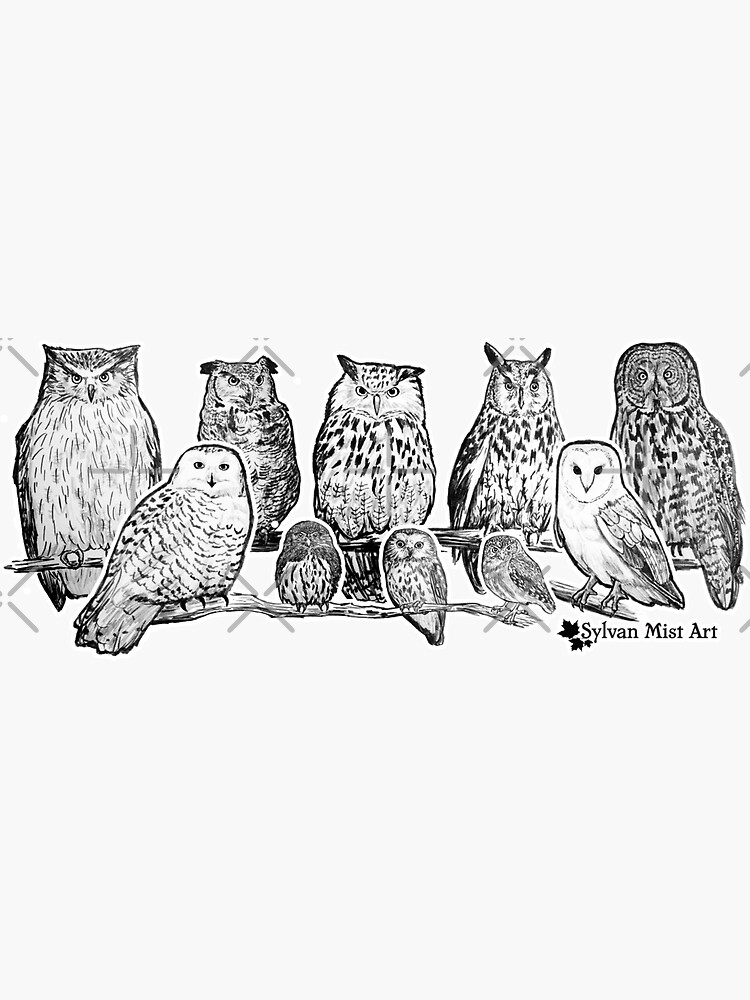 "Owls - Ink Drawing" Sticker by sylvanmist | Redbubble