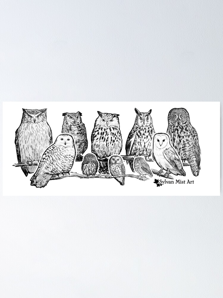 "Owls - Ink Drawing" Poster by sylvanmist | Redbubble