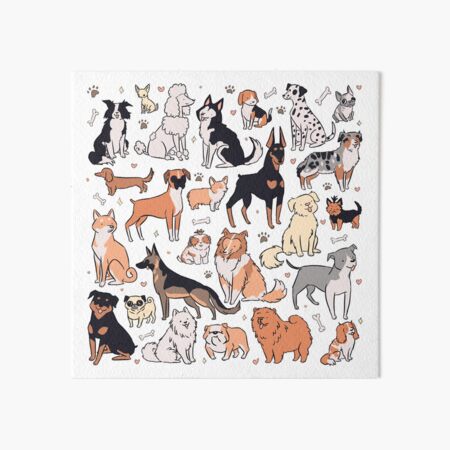 Lámina rígida «Perros, perros y más perros - ¿Puedes encontrar la raza ...