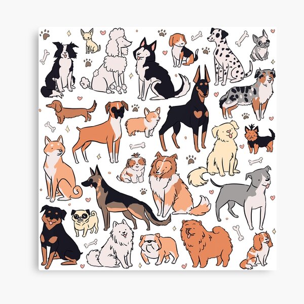 "Dogs, dogs and more dogs - Can you find the dog breed that you love ...