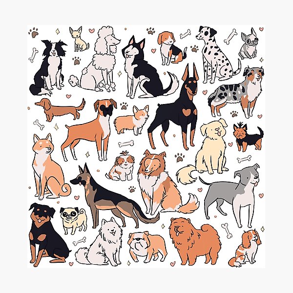"Dogs, dogs and more dogs - Can you find the dog breed that you love ...
