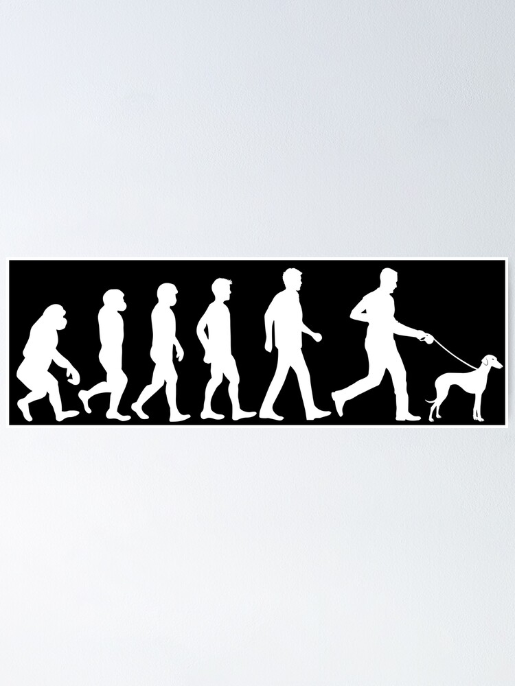 "Sloughi Dog Evolution Dog Owners" Poster for Sale by 1681830934131 ...
