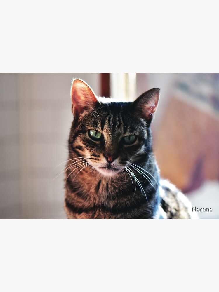 "Just call me Professor" Sticker for Sale by Nerone | Redbubble