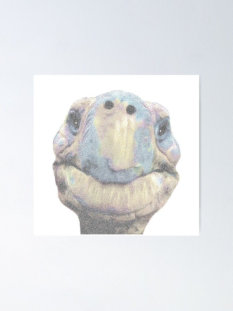 "Weird Turtle Portrait - color TSP-art" Poster for Sale by virtuPIC ...