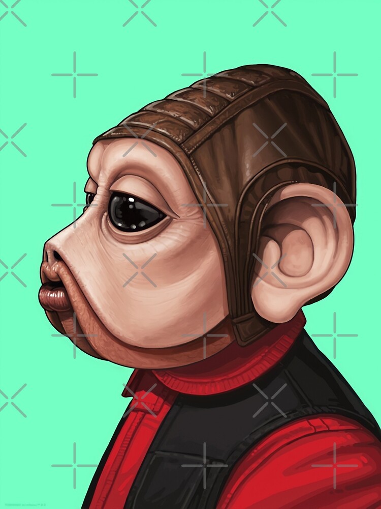 "Nien Nunb Profile illustration" Poster for Sale by Master-bg | Redbubble
