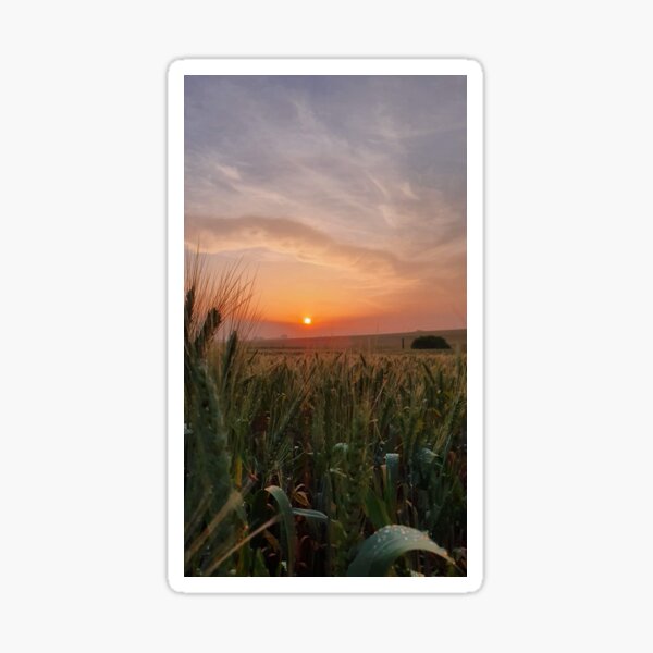 "Romantic and Rustic Sunset in The Village Field" Sticker for Sale by ...
