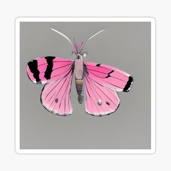 "Little pink moth.. " Sticker for Sale by ElsieVirgo91 | Redbubble