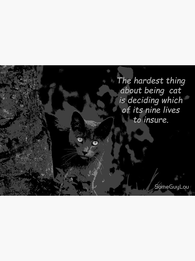"Cat: The hardest thing about being a cat is deciding which of its nine ...