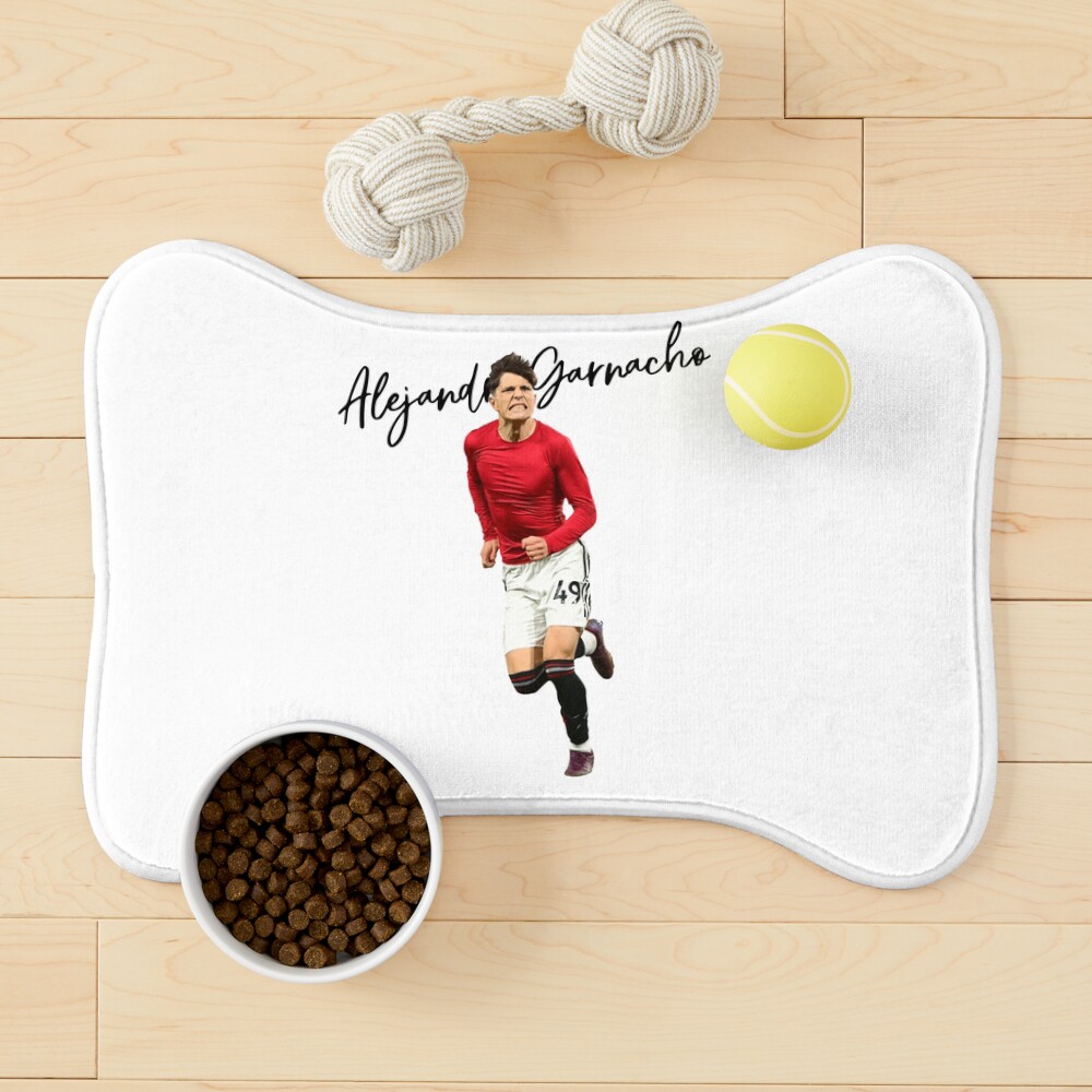 "Alejandro Garnacho celebration" Sticker for Sale by Truefans | Redbubble