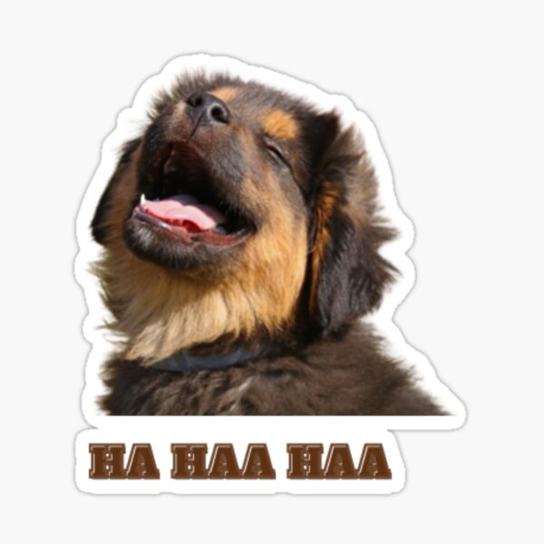 "laughing dog, laughing" Sticker for Sale by luxanam | Redbubble