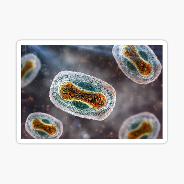 "Monkeypox viruses, 3D illustration" Sticker for Sale by DrMicrobe ...