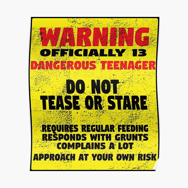 13th Birthday Posters | Redbubble