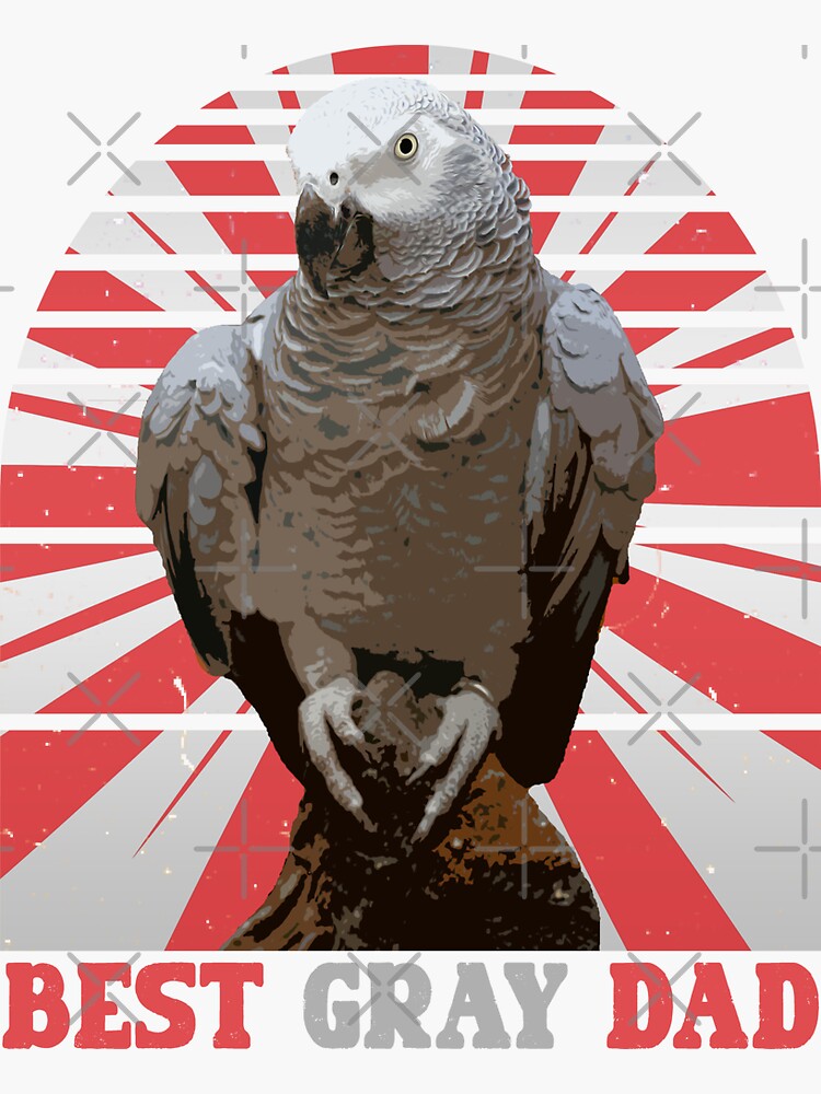 " African Grey Dad - African Gray - Parrot,Bird,Grey,African Grey ...