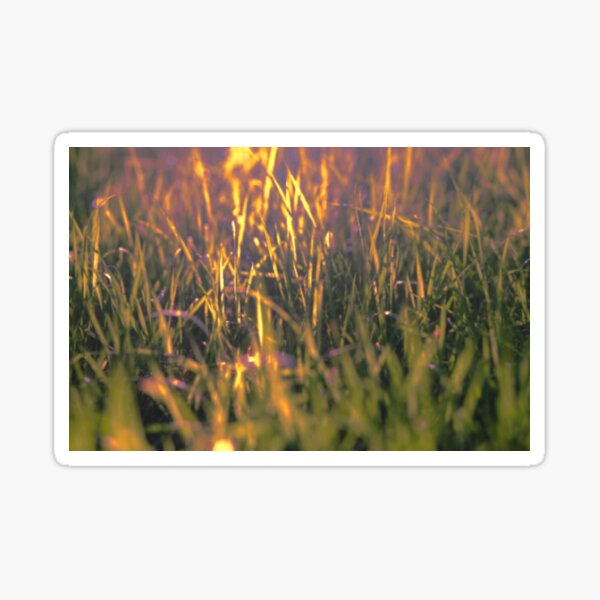 "grass" Sticker for Sale by Gabrich1 | Redbubble