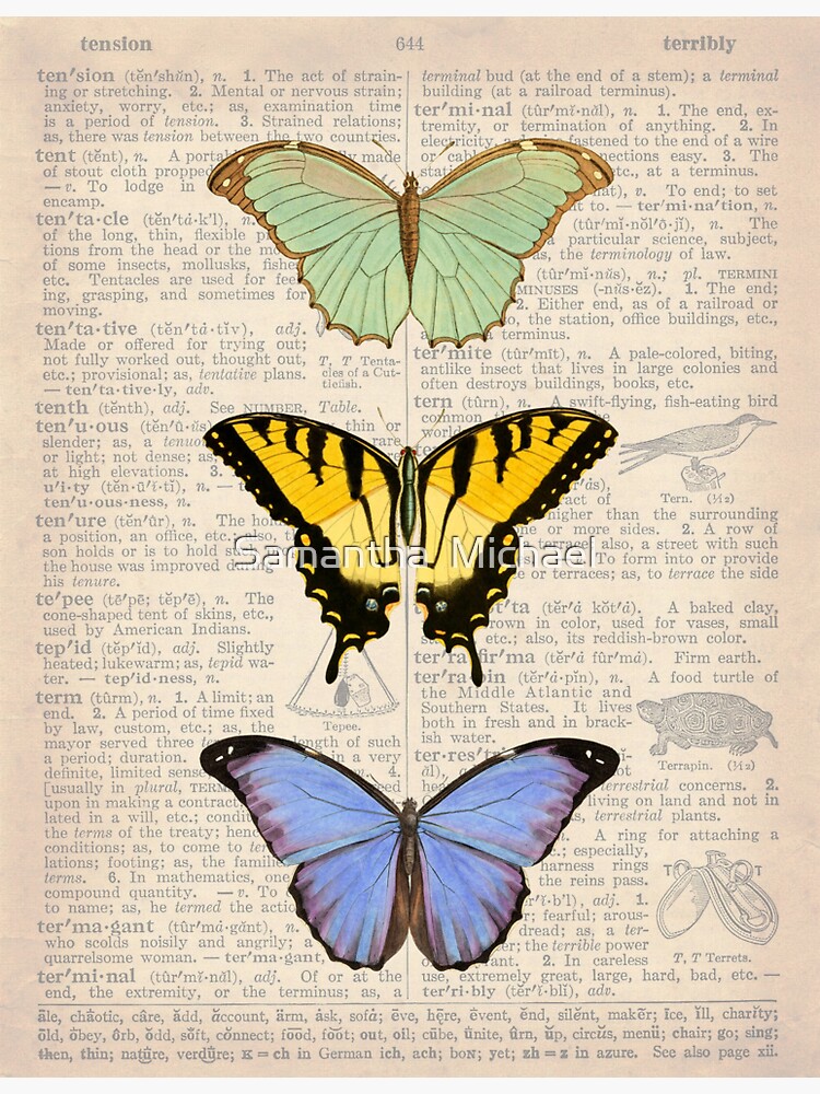 "Butterfly Naturalist " Sticker for Sale by sammichael | Redbubble