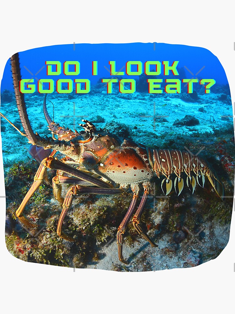 "Do I Look Good To Eat?" Sticker for Sale by CaptJohnny | Redbubble