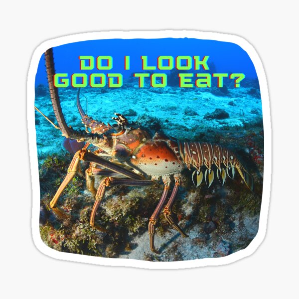 "Do I Look Good To Eat?" Sticker for Sale by CaptJohnny | Redbubble