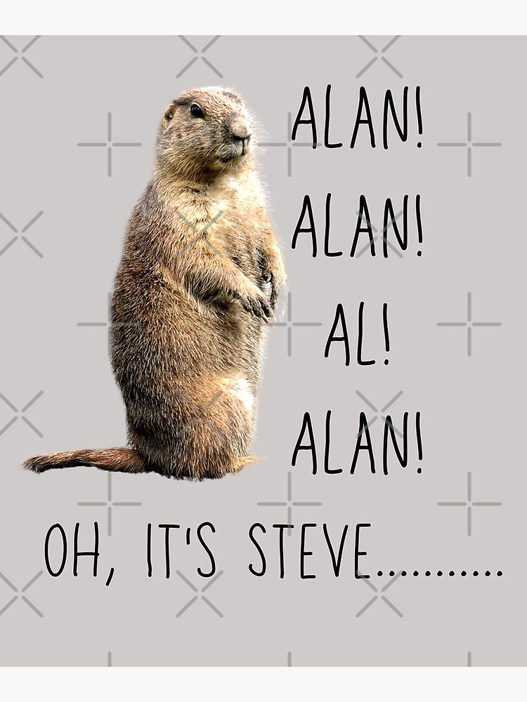 Alan Steve Memes Why Do People Shout 'Alan' At Festivals? | The Sun