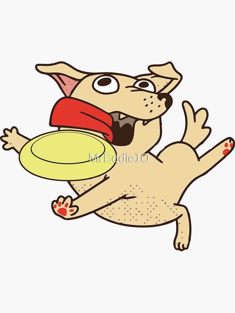 Fallo Del Frisbee De Perro