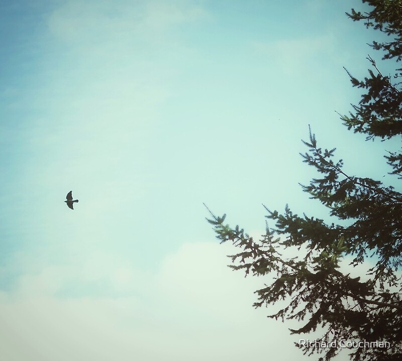 "" Skywards To Blue "" by Richard Couchman | Redbubble