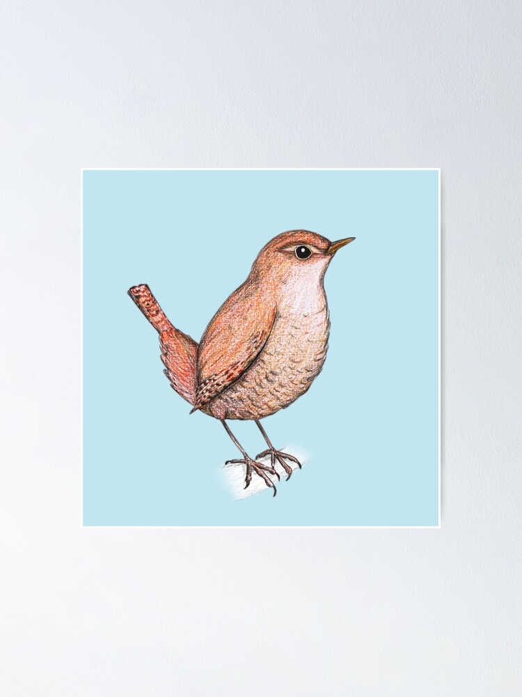 "Wren" Poster for Sale by Bwiselizzy | Redbubble