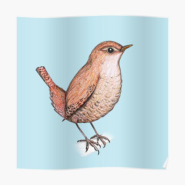 "Wren" Poster for Sale by Bwiselizzy | Redbubble